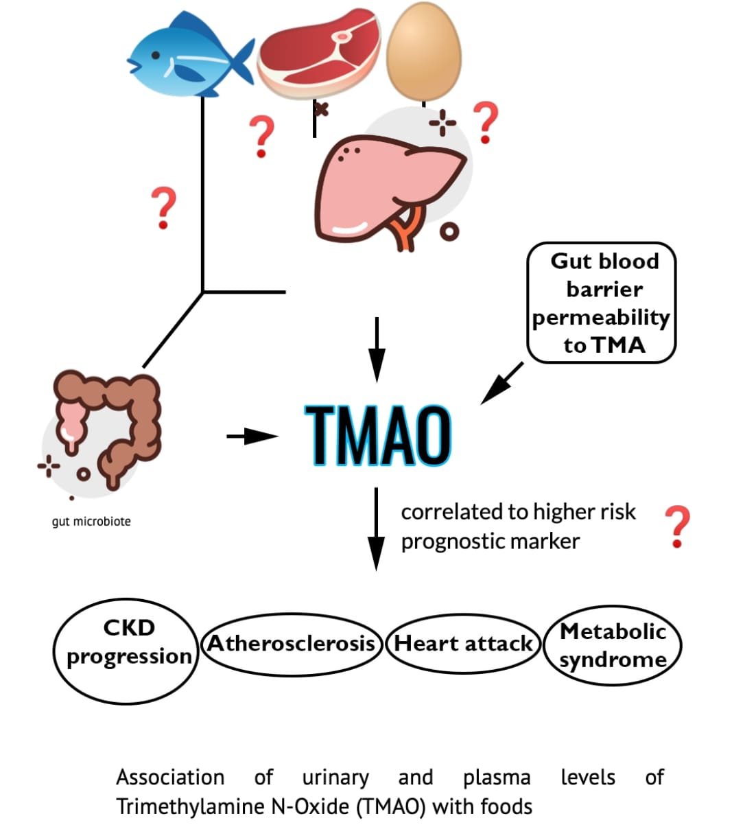 Nutrients | Free Full-Text | Association of Urinary and Plasma Levels ...