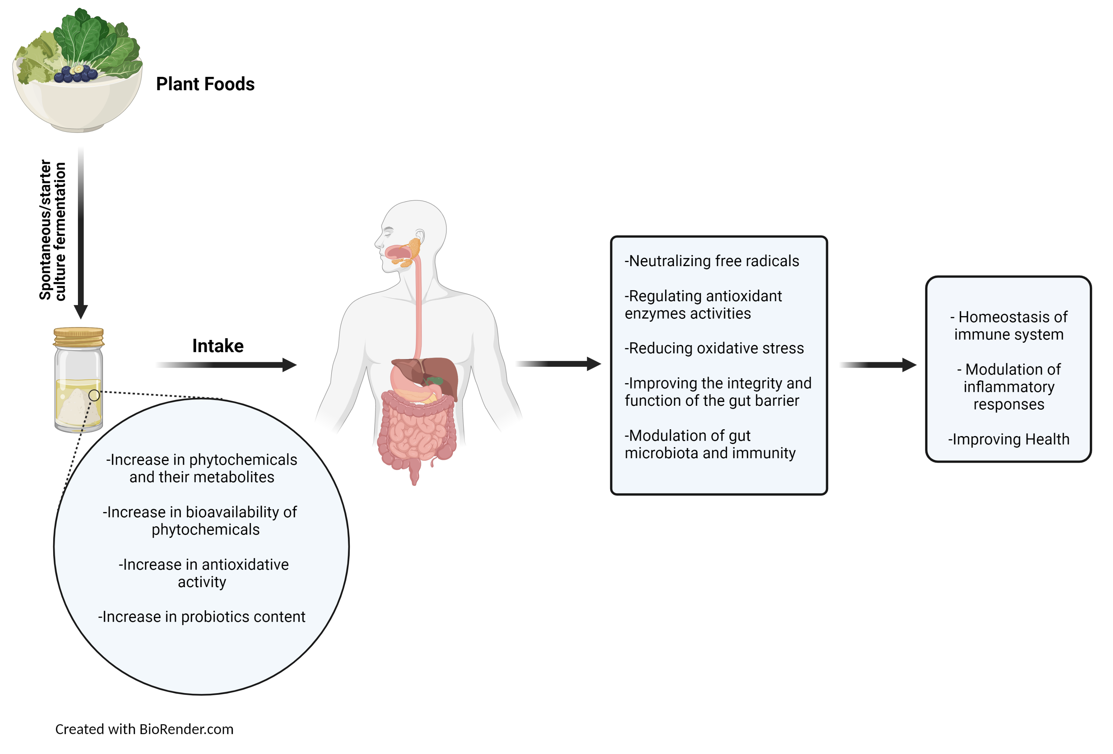Nutrients | Free Full-Text | Anti-Inflammatory and Immunomodulatory ...