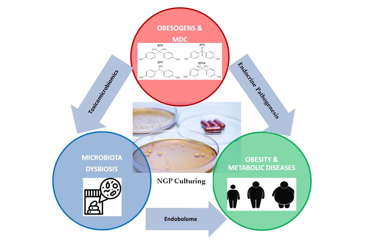 Nutrients | Free Full-Text | Next Generation Probiotics for ...