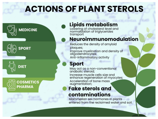 Diversity of Plant Sterols Metabolism: The Impact on Human Health ...
