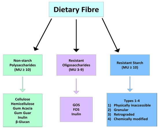 Dietary Fibre Modulates the Gut Microbiota