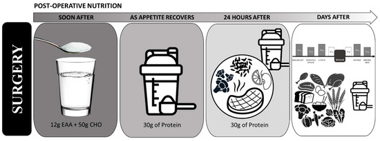Pre- and Post-Surgical Nutrition for Preservation of Muscle Mass ...