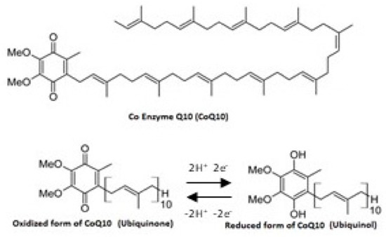 Coenzyme Q10: Clinical Applications beyond Cardiovascular Diseases