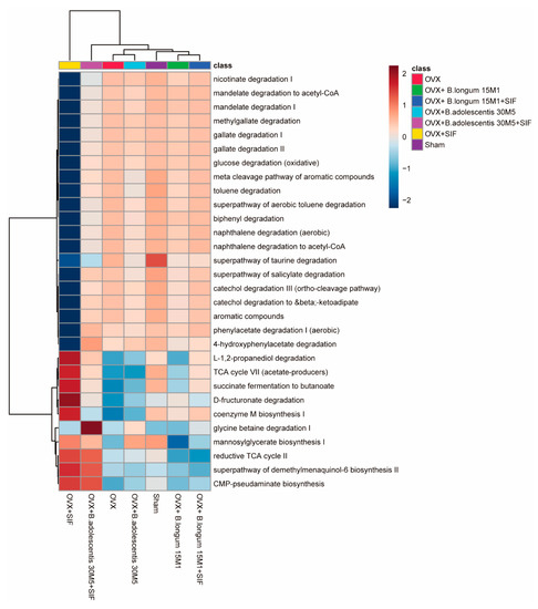 Nutrients | Free Full-Text | Modulation of the Gut Microbiota Structure ...