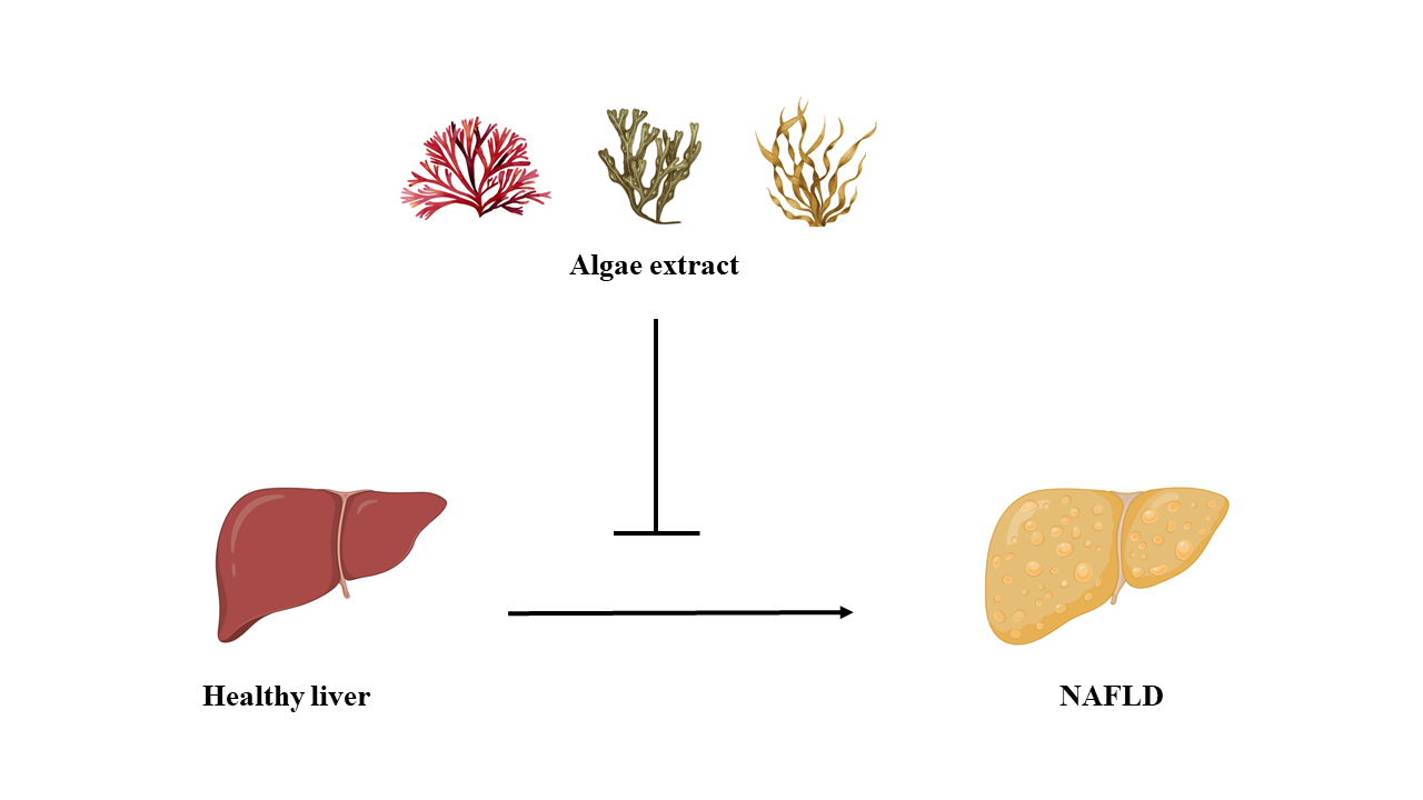 Nutrients | Free Full-Text | Effect of Microalgae and Macroalgae ...