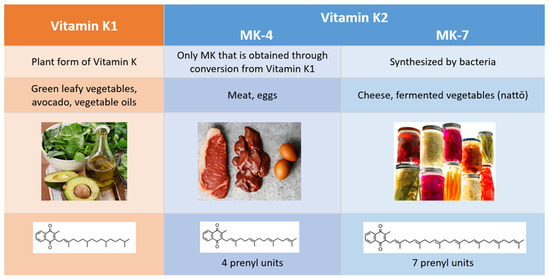 Vitamin K2 Holds Promise for Alzheimer’s Prevention and Treatment