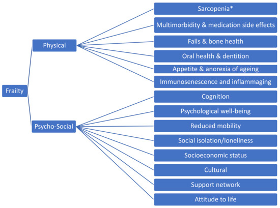 Nutrition and Frailty: Opportunities for Prevention and Treatment