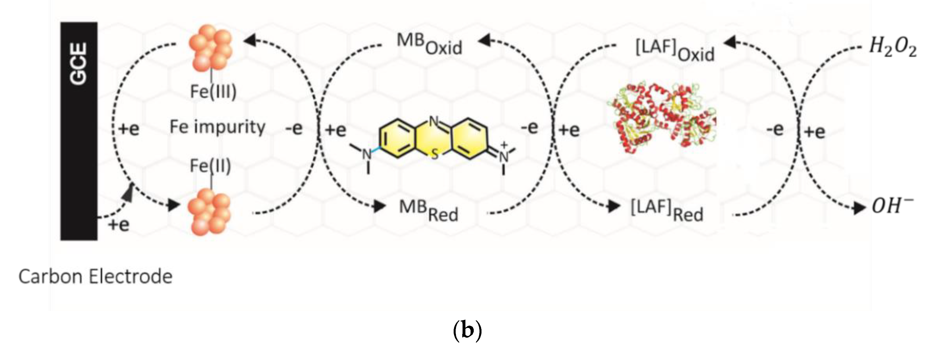 Lactoferrin and Its Detection Methods: A Review