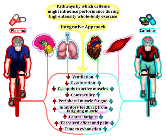 Nutrients | Free Full-Text | Caffeine during High-Intensity Whole-Body ...