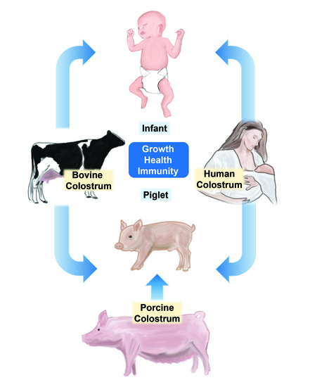 Nutrients | Free Full-Text | Potential Benefits of Bovine Colostrum in ...