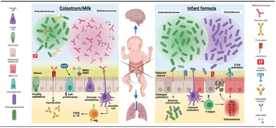 Potential Benefits of Bovine Colostrum in Pediatric Nutrition and Health