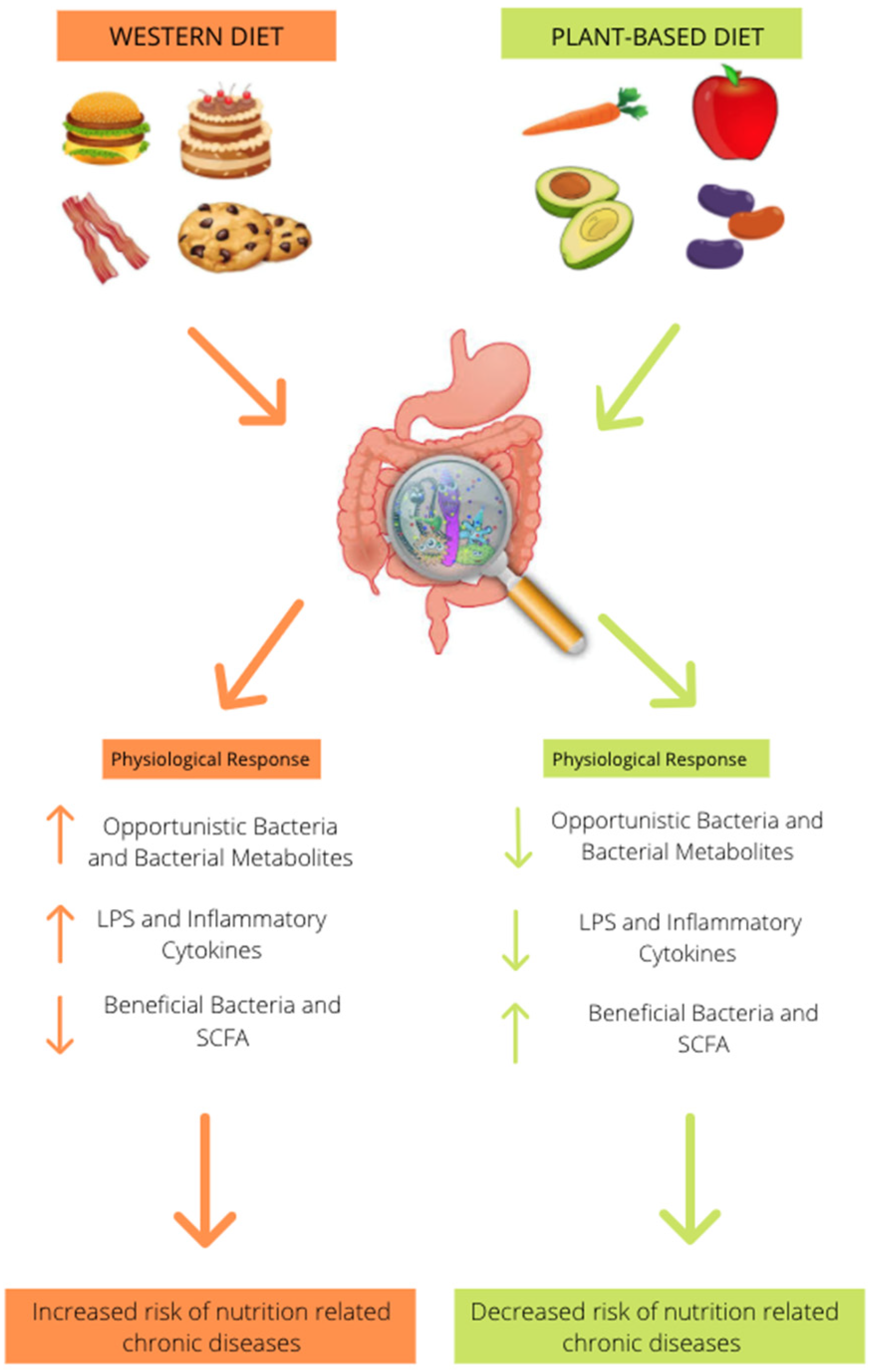Nutrients Free Full Text Effect Of Diet And Dietary Components On
