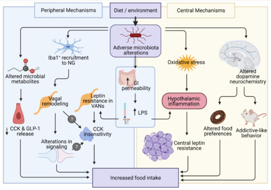 Nutrients | Special Issue : Appetite and Satiety Control-Gut Mechanisms