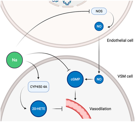 Sodium Intake as a Cardiovascular Risk Factor: A Narrative Review