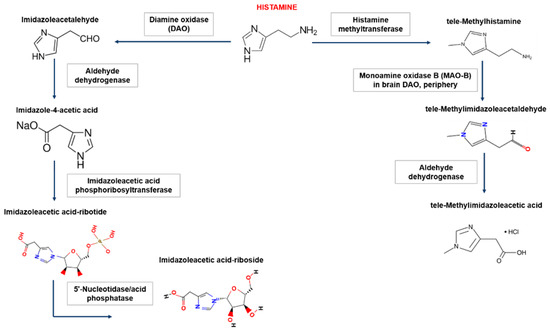 Food Intolerance: The Role of Histamine