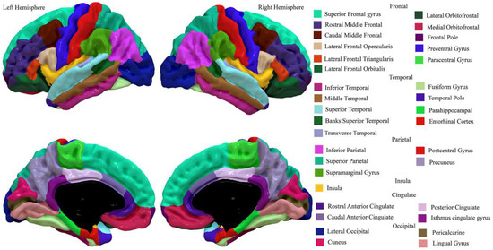 The Association between Body Mass Index and Intra-Cortical Myelin ...
