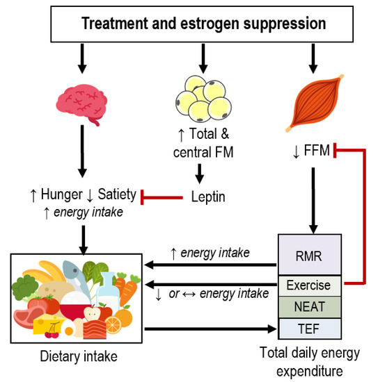 Dietary Intake and Energy Expenditure in Breast Cancer Survivors: A Review
