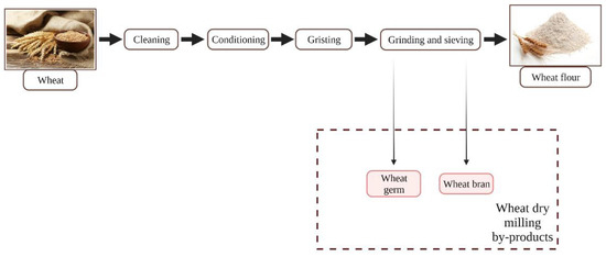 Cereal Processing By-Products as Rich Sources of Phenolic Compounds and ...