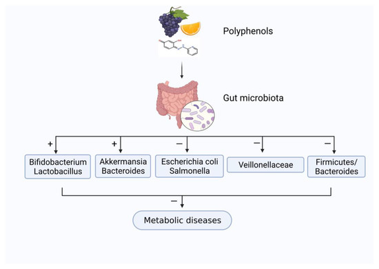 Understanding the Functional Activity of Polyphenols Using Omics-Based ...