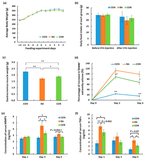 Ameliorating Effects of Coriander on Gastrocnemius Muscles Undergoing ...