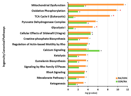 Ameliorating Effects of Coriander on Gastrocnemius Muscles Undergoing ...