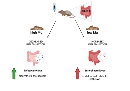 Nutrients | Free Full-Text | Dietary Magnesium Alleviates Experimental ...