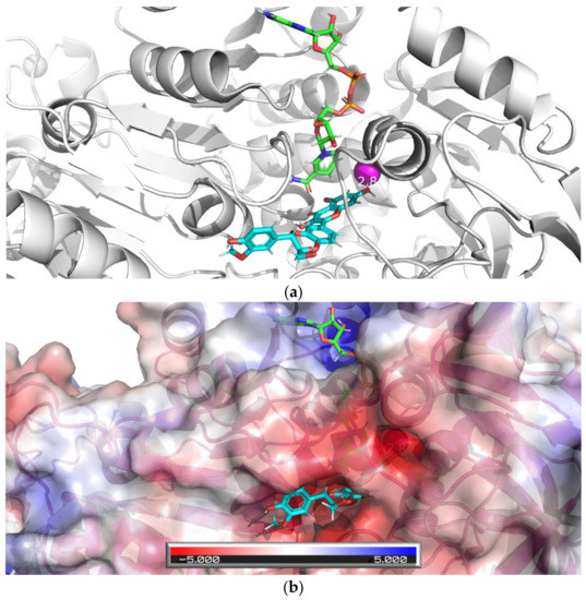 Silymarin Dehydroflavonolignans Chelate Zinc and Partially Inhibit ...
