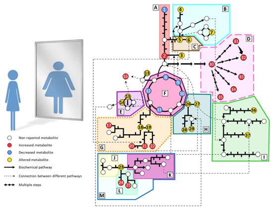 Unveiling Metabolic Phenotype Alterations in Anorexia Nervosa through ...