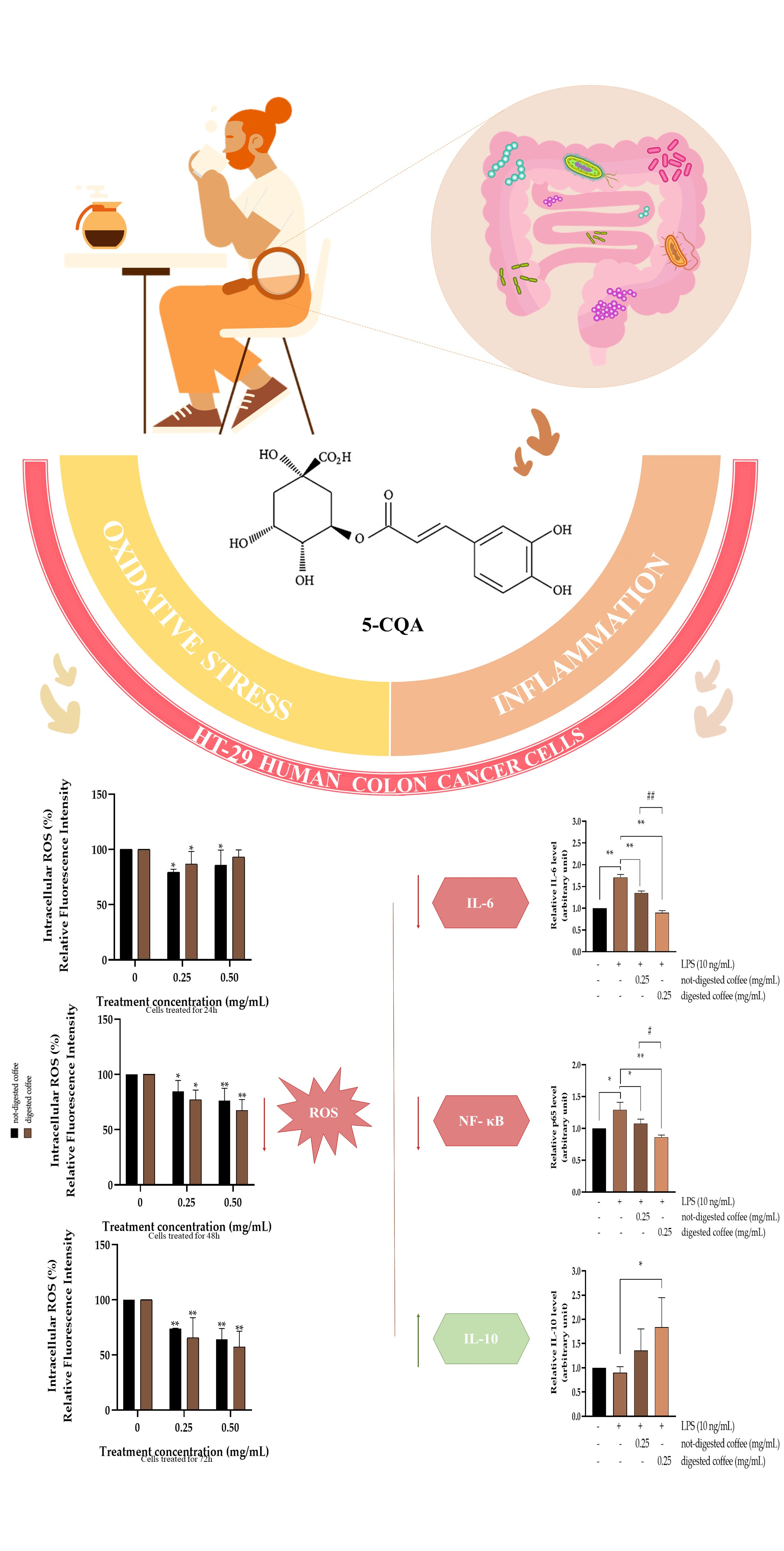 Nutrients | Free Full-Text | Antioxidant and Anti-Inflammatory Activity ...