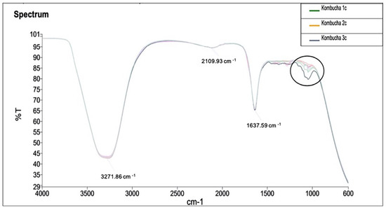 Microbial Diversity and Characteristics of Kombucha as Revealed by ...