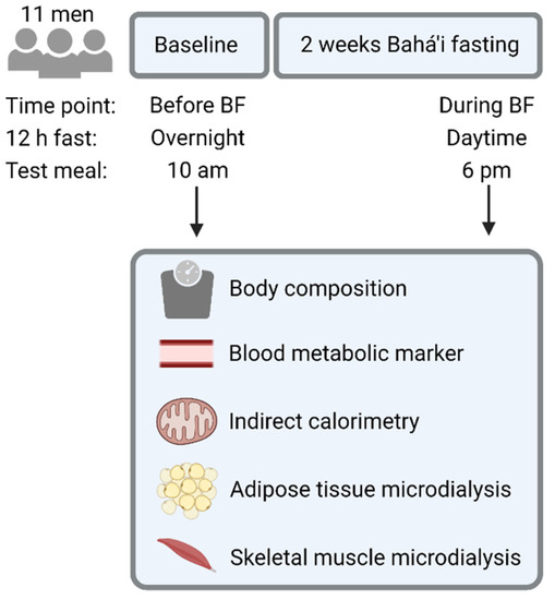 Metabolic Response to Daytime Dry Fasting in Bahá’í Volunteers—Results ...
