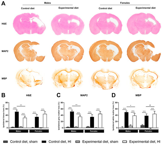 Nutrients Free Full Text Nutritional Supplementation Reduces Lesion