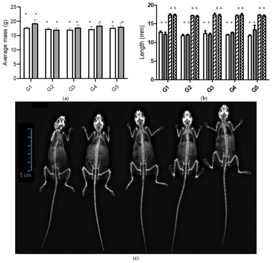 Evaluation of an Ionic Calcium Fiber Supplement and Its Impact on Bone ...
