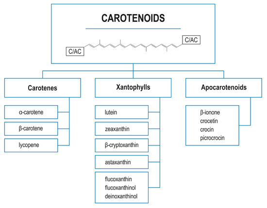 Dietary Carotenoids in Head and Neck Cancer—Molecular and Clinical ...