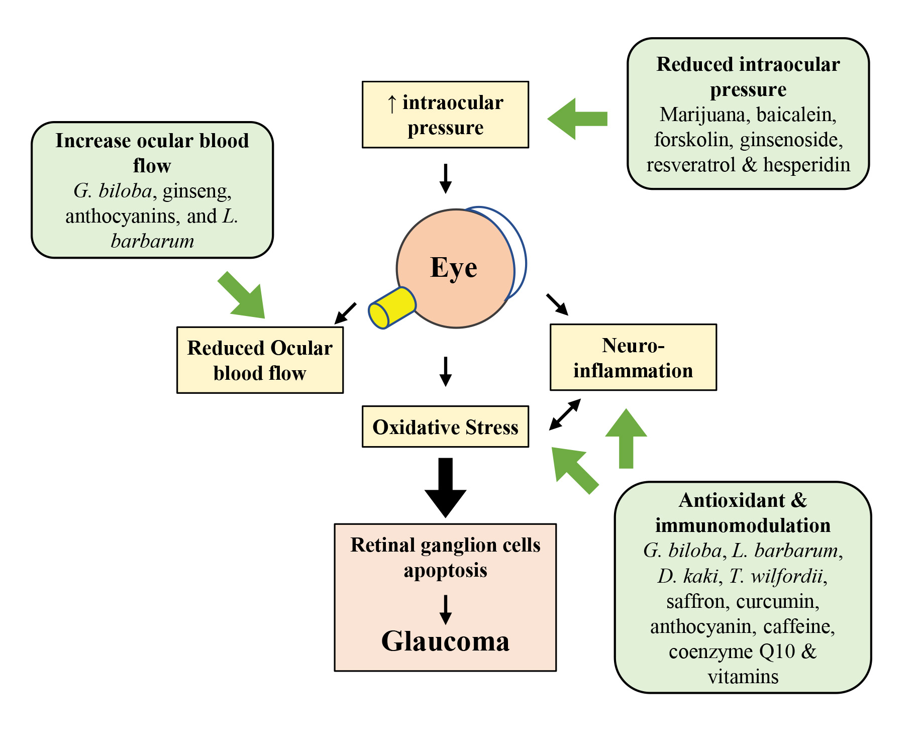 Nutrients | Free Full-Text | Treatment of Glaucoma with Natural ...