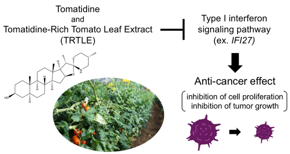 Nutrients | Free Full-Text | The Steroidal Alkaloid Tomatidine and ...