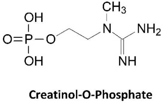 Bioavailability, Efficacy, Safety, and Regulatory Status of Creatine ...