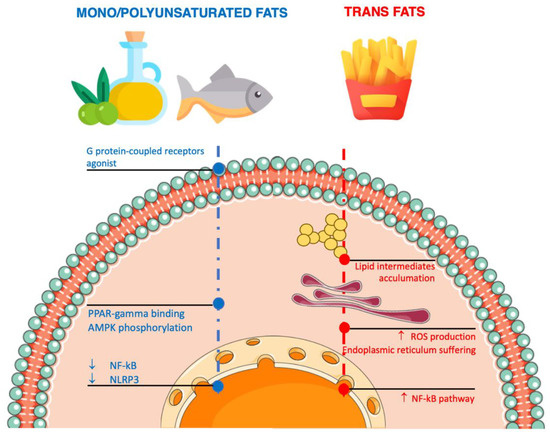 Anti-Inflammatory Nutrients and Obesity-Associated Metabolic ...