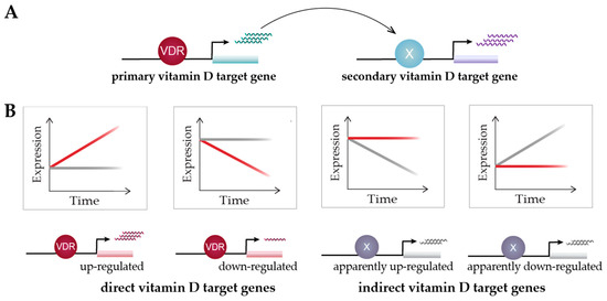 Vitamin D and Its Target Genes