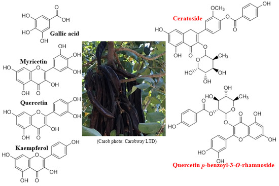 D-Pinitol—Active Natural Product from Carob with Notable Insulin Regulation