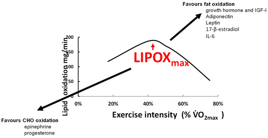Beyond the Calorie Paradigm: Taking into Account in Practice the ...