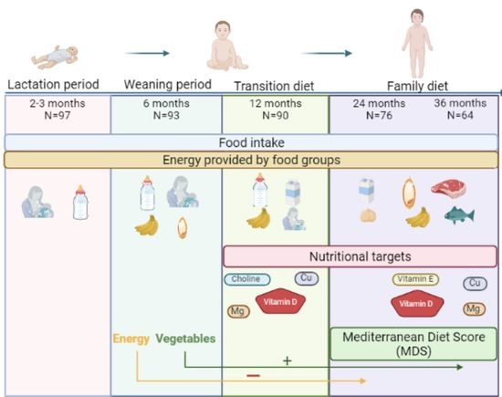 Nutrients | Free Full-Text | Early Life Nutrition and the Role of ...