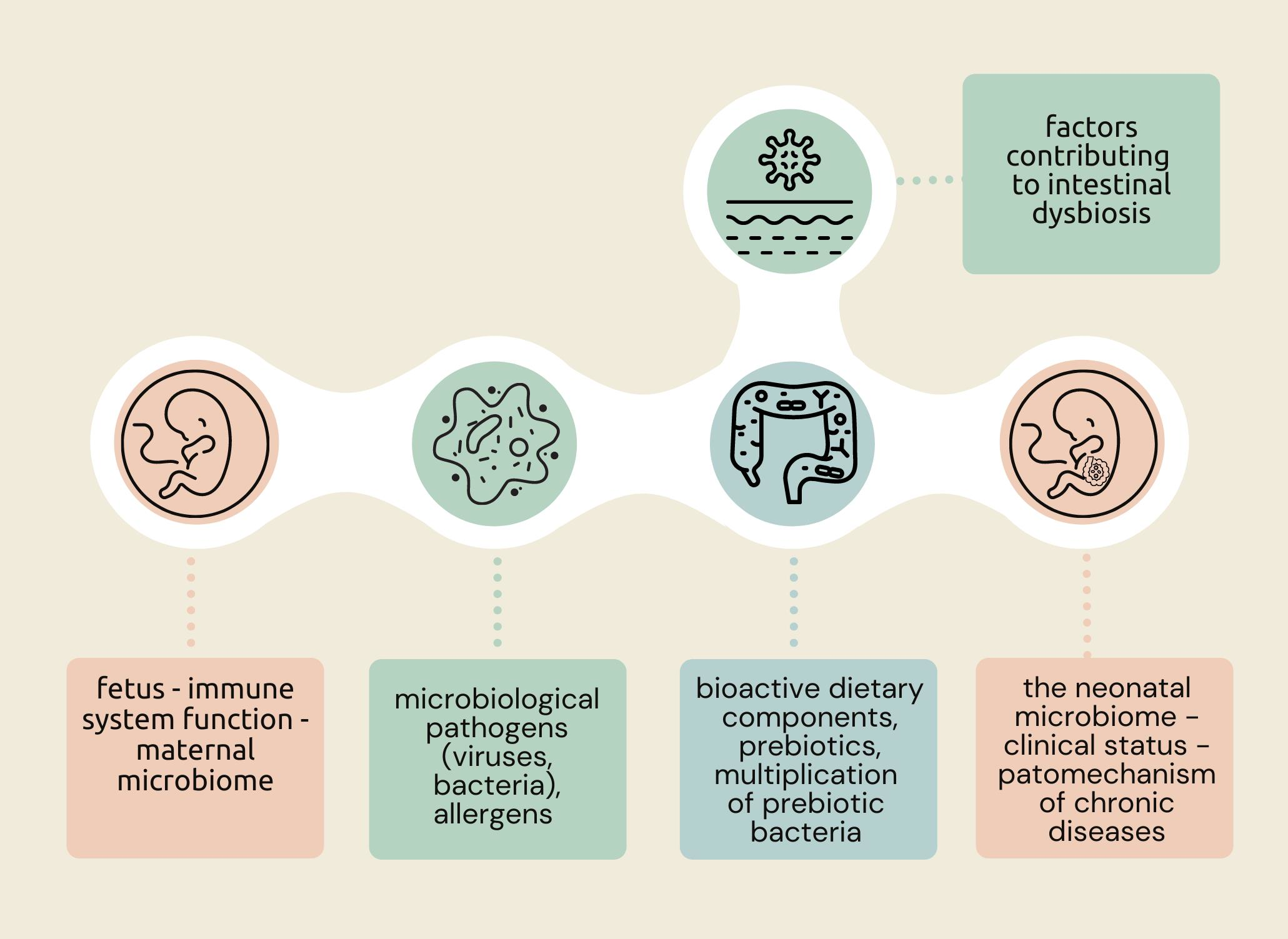 Nutrients | Free Full-Text | The Concept of Intrauterine Programming ...