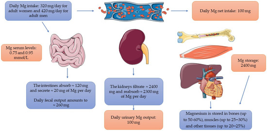 The Role of Magnesium in the Pathogenesis of Metabolic Disorders