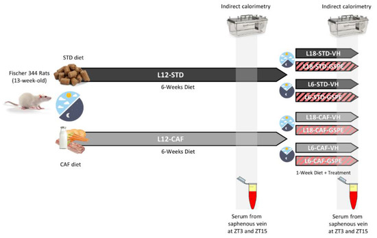 Grape Seed Proanthocyanidins Mitigate the Disturbances Caused by an ...