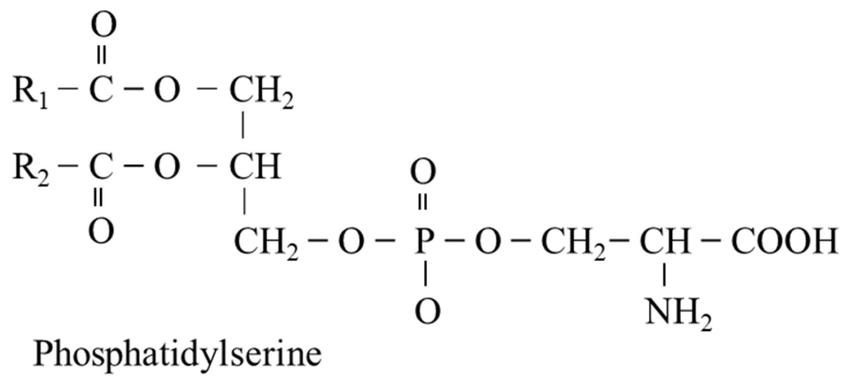 Serine Structure