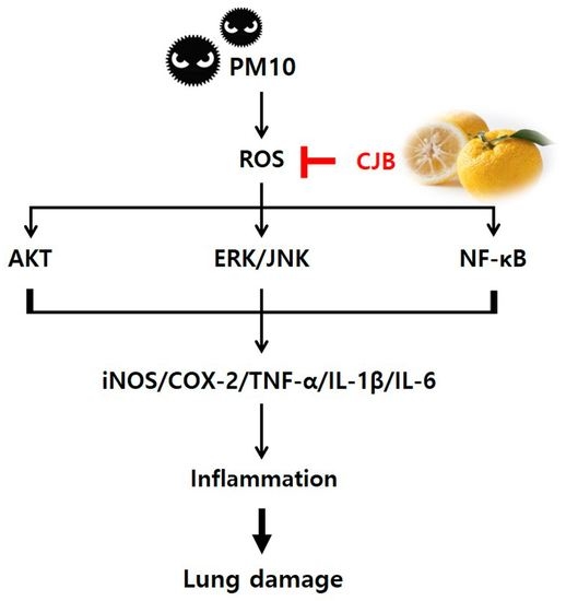 Nutrients | Free Full-Text | Ameliorative Effect of Citrus junos Tanaka Waste (By-Product) Water ...