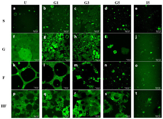Impact of the Structural Modifications of Potato Protein in the ...