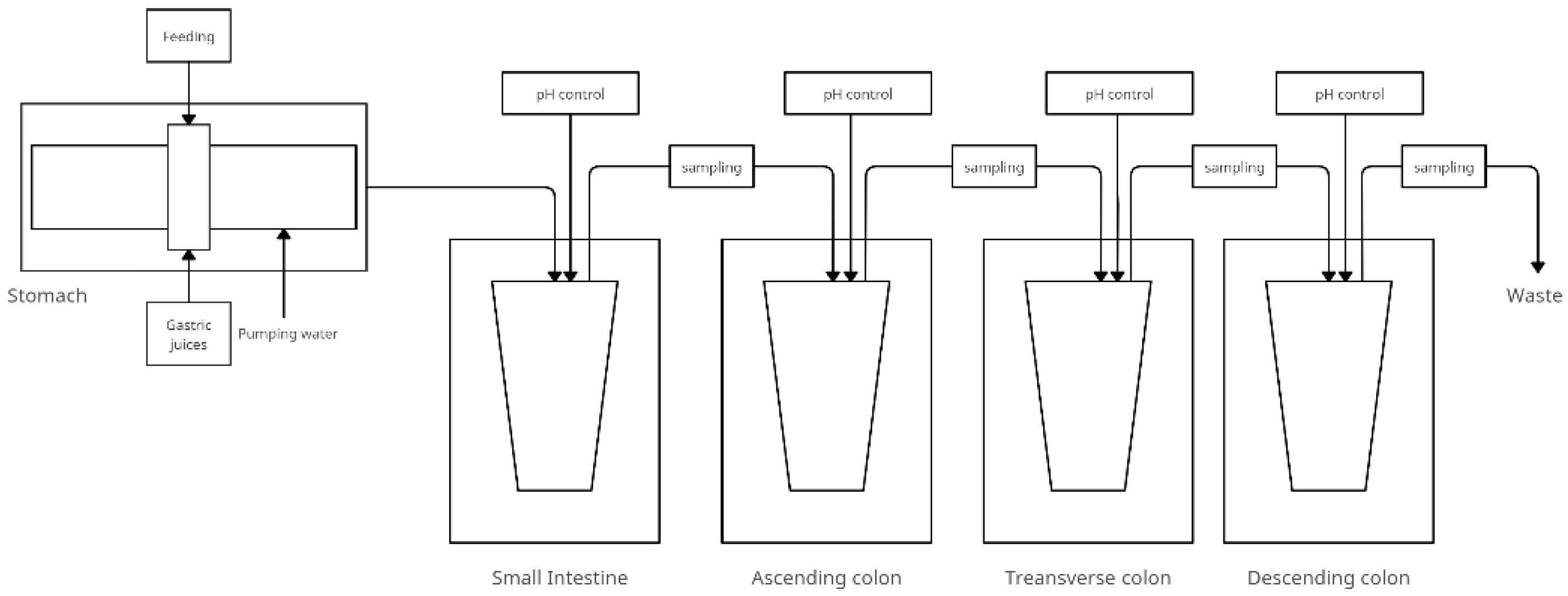 Artificial Gastrointestinal Models for Nutraceuticals Research ...