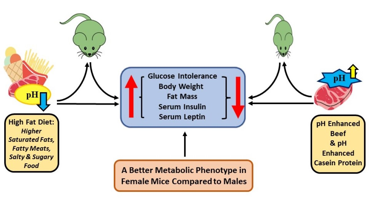 Nutrients | Free Full-Text | Dietary pH Enhancement Improves Metabolic ...